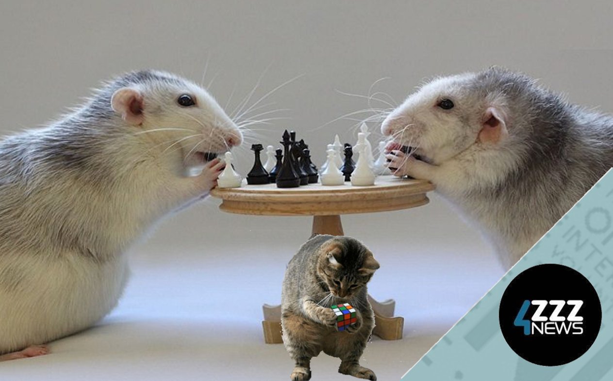 Animal Problem Solving Animal Problem Solving